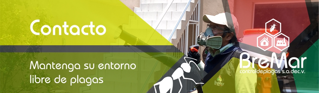 Contacto BreMar